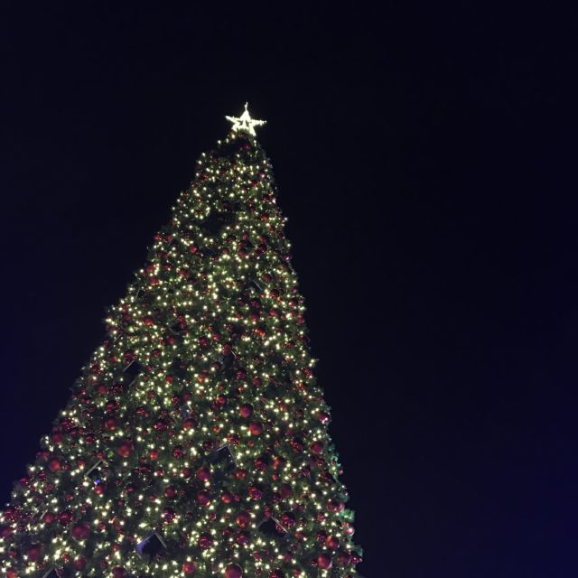 WinterFest - California's Great America - Savvy in San Francisco